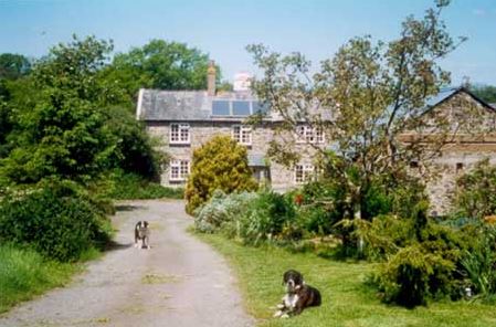 A typical autumn week on the farm... - Devon Farms Blog