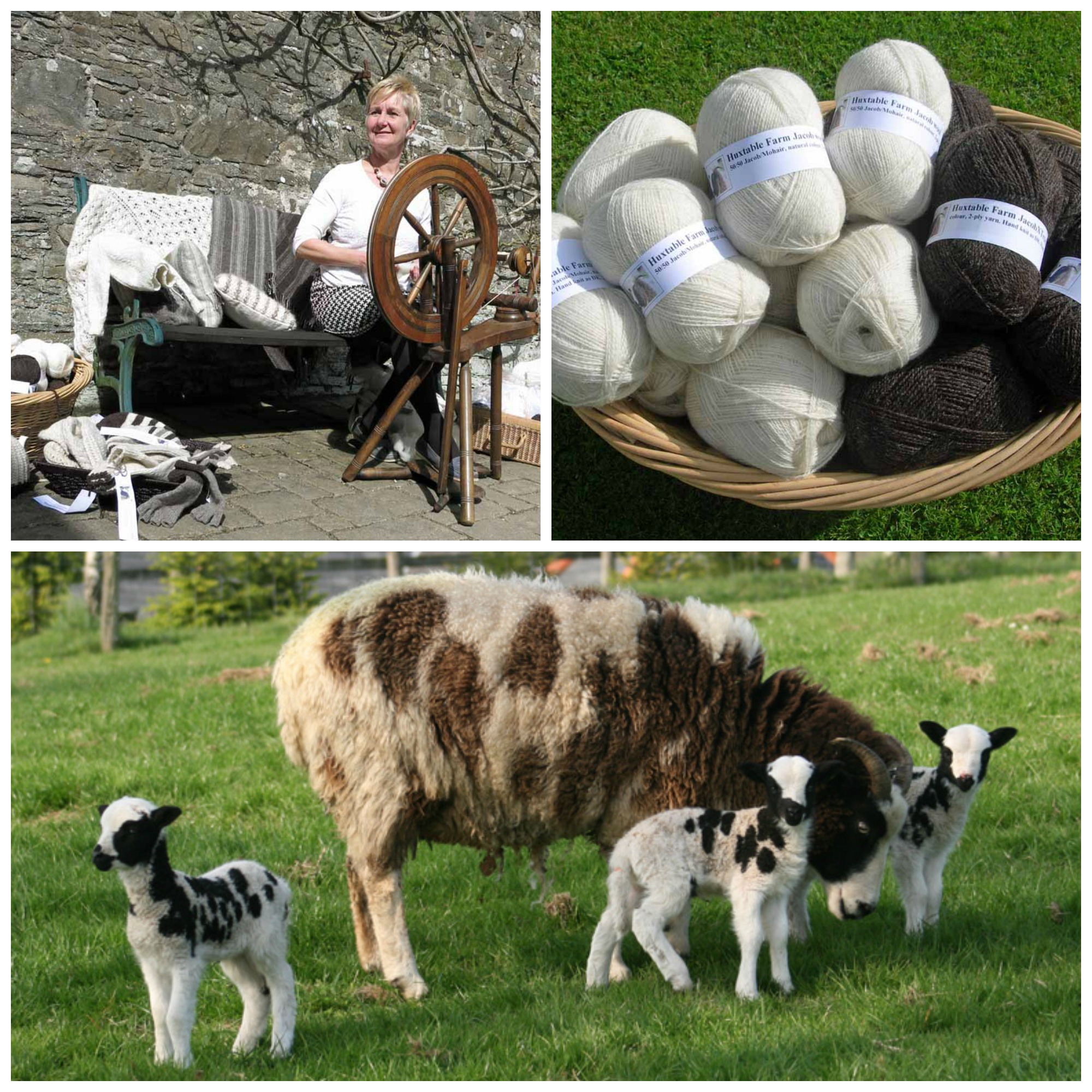 It's Wool Week - Devon Farms Blog