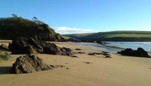 Spotlight on Mothecombe Beach... - Devon Farms Blog