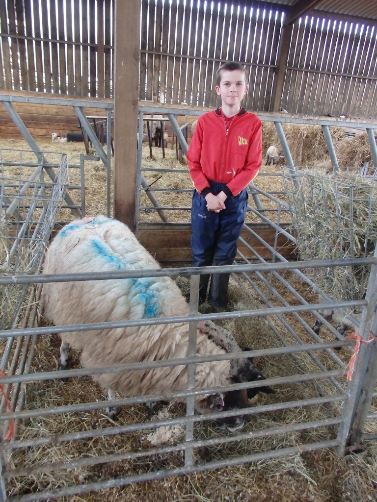 The next generation of hard-working farmers starts here! - Devon Farms Blog